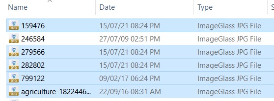 How to Organize Photos on An External USB Drive