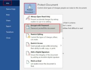 How to Password Protect Files on Windows 11