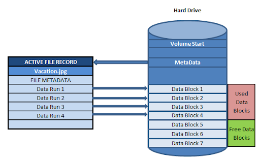 Research on File Recovery: Insights Into Retrieving Lost Files