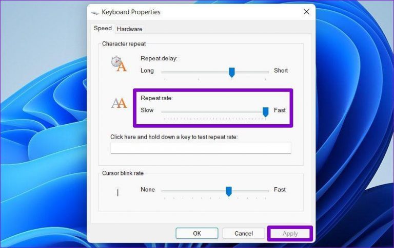 Fix - Keyboard Input Lag Issue on Windows 11/10