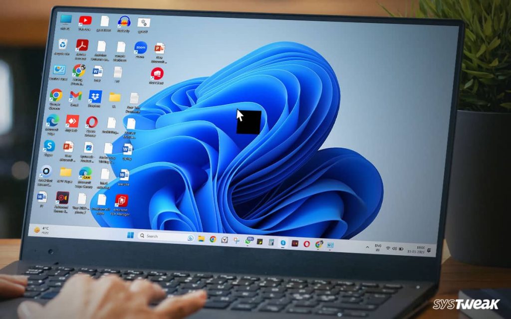 How to Get Rid of Black Box on Mouse Cursor